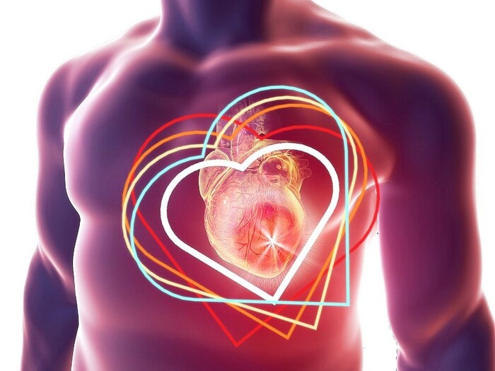 VĚDOMÉ SRDCE :: Centrumserafin