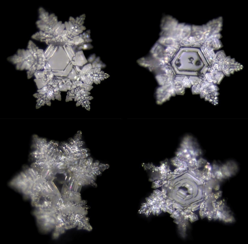 FLOW DISC ÚČINKY :: Centrumserafin